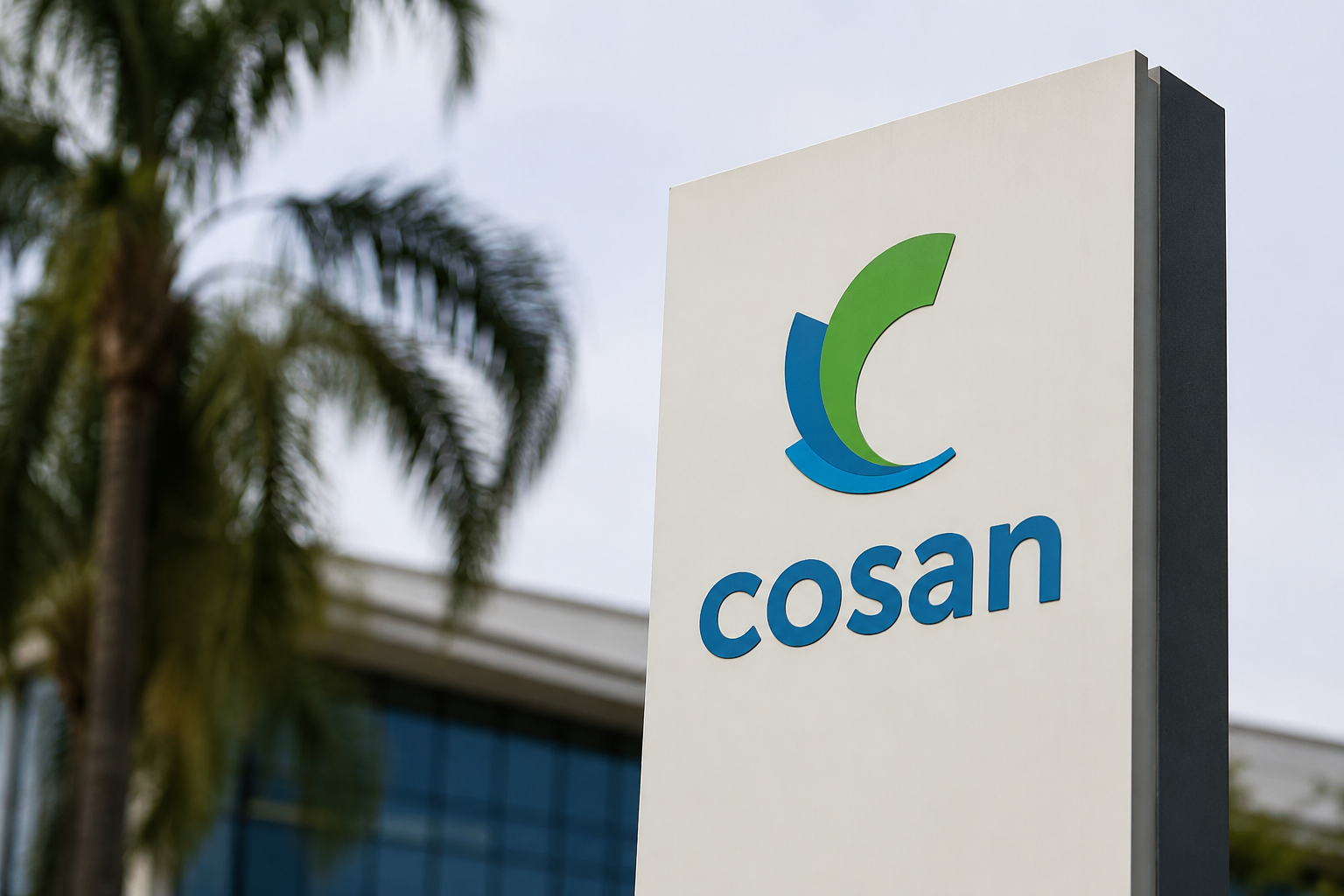 Cosan (CSAN3) mira venda da Raízen e prepara mudança que pode mexer com ...